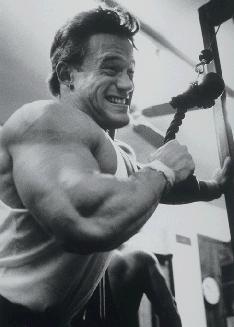 Jason Arntz - Forum SFD - strona 2