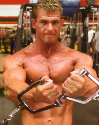 David Rylah - Forum SFD