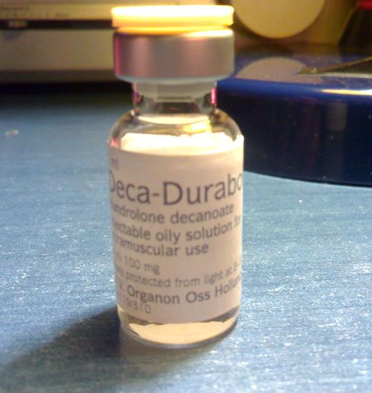 Deca Durabolin Organon Holandia - Forum SFD