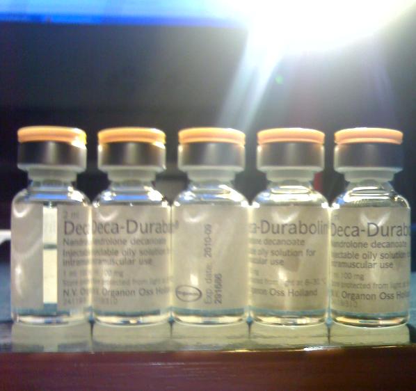 Deca Durabolin Organon Holandia - Forum SFD