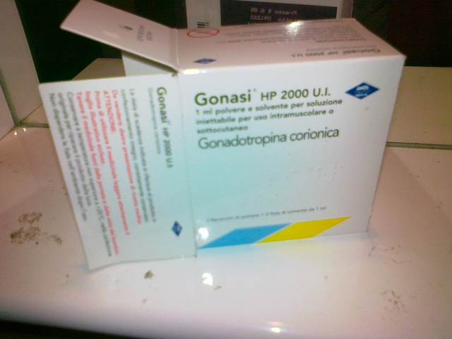 hcg gonasi - Forum SFD