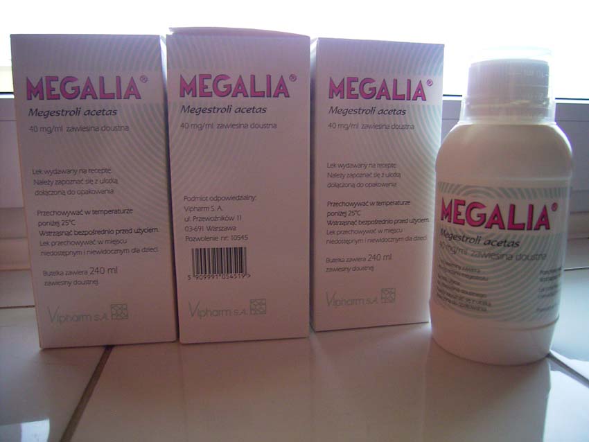 MEGALIA - FOTKI - Forum SFD