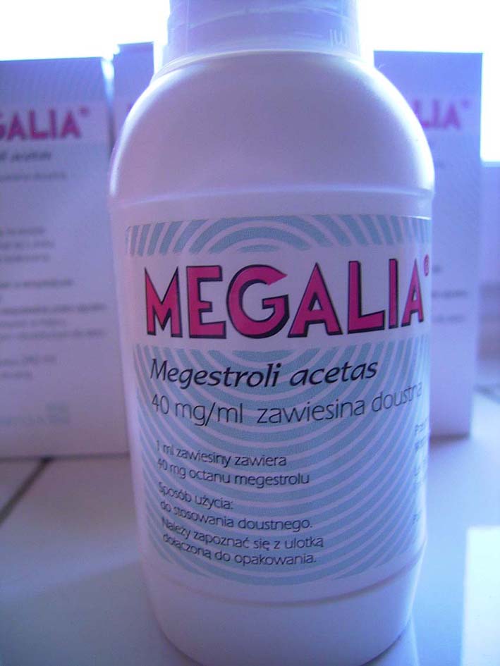 MEGALIA - FOTKI - Forum SFD