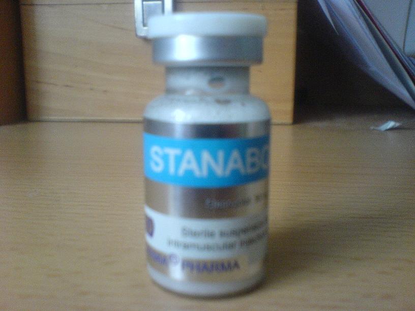 Stanabol alchemia pharma opinie - Forum SFD