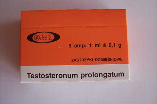 Pierwszy cykl - Testosteron Prolongatum - Forum SFD