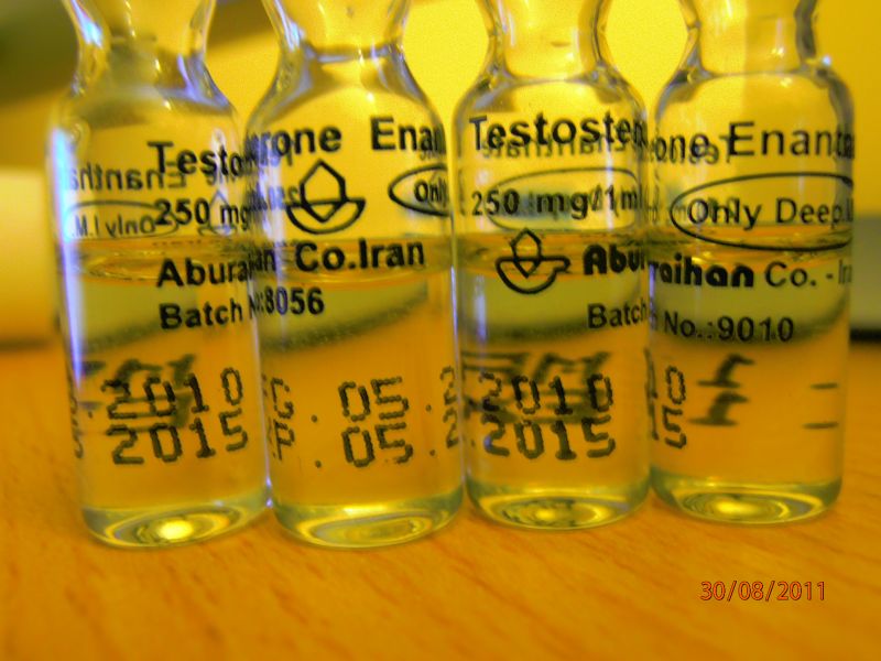 [REAL] Testosterone Enanthate 250 (Aburaihan - Iran) - Forum SFD ...